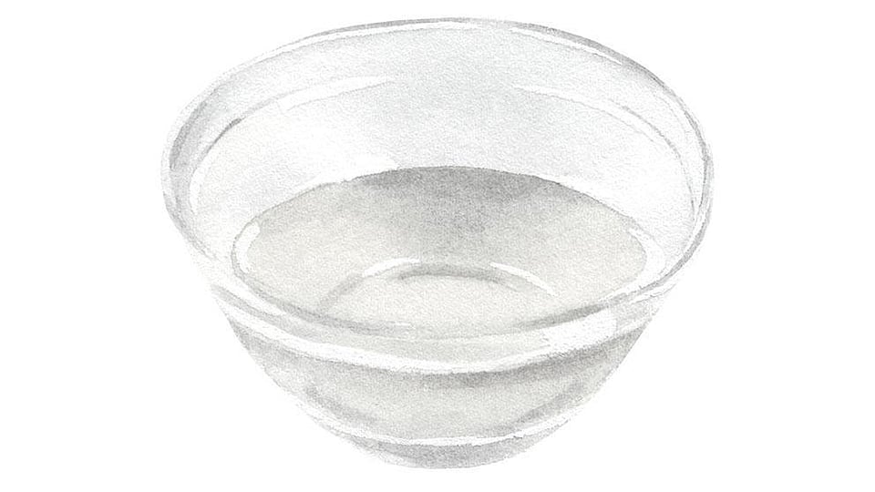 Polyglyceryl-2 Caprate - Weleda